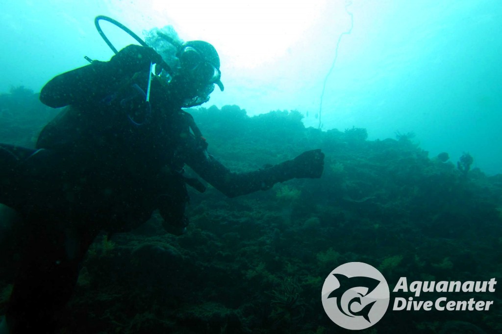 Aquanaut Dive Center | Deep Diver PADI specialty - Aquanaut Dive Center